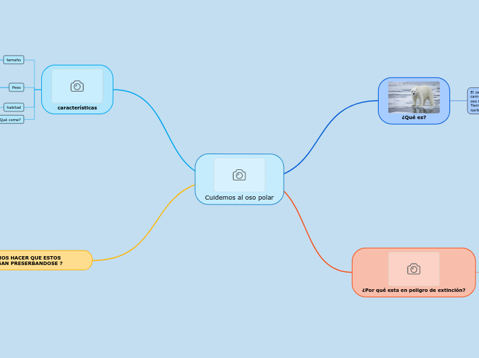 Cuidemos al oso polar - Mind Map